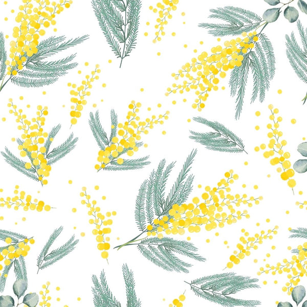 Celebrate Wattle Day: First Day of Australian Spring! - SheLovesBlooms